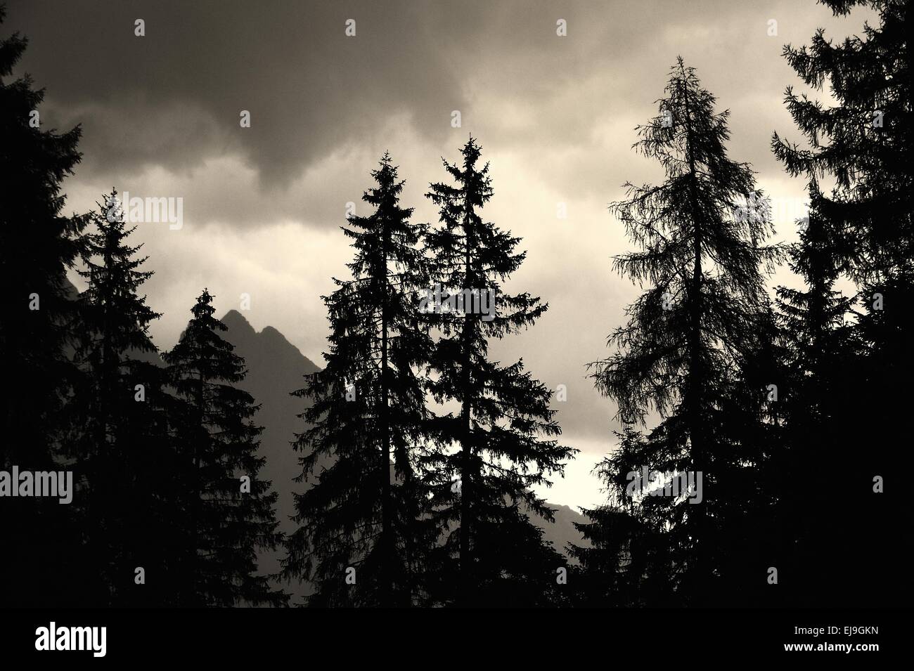 Alpine stromy weather Stock Photo - Alamy