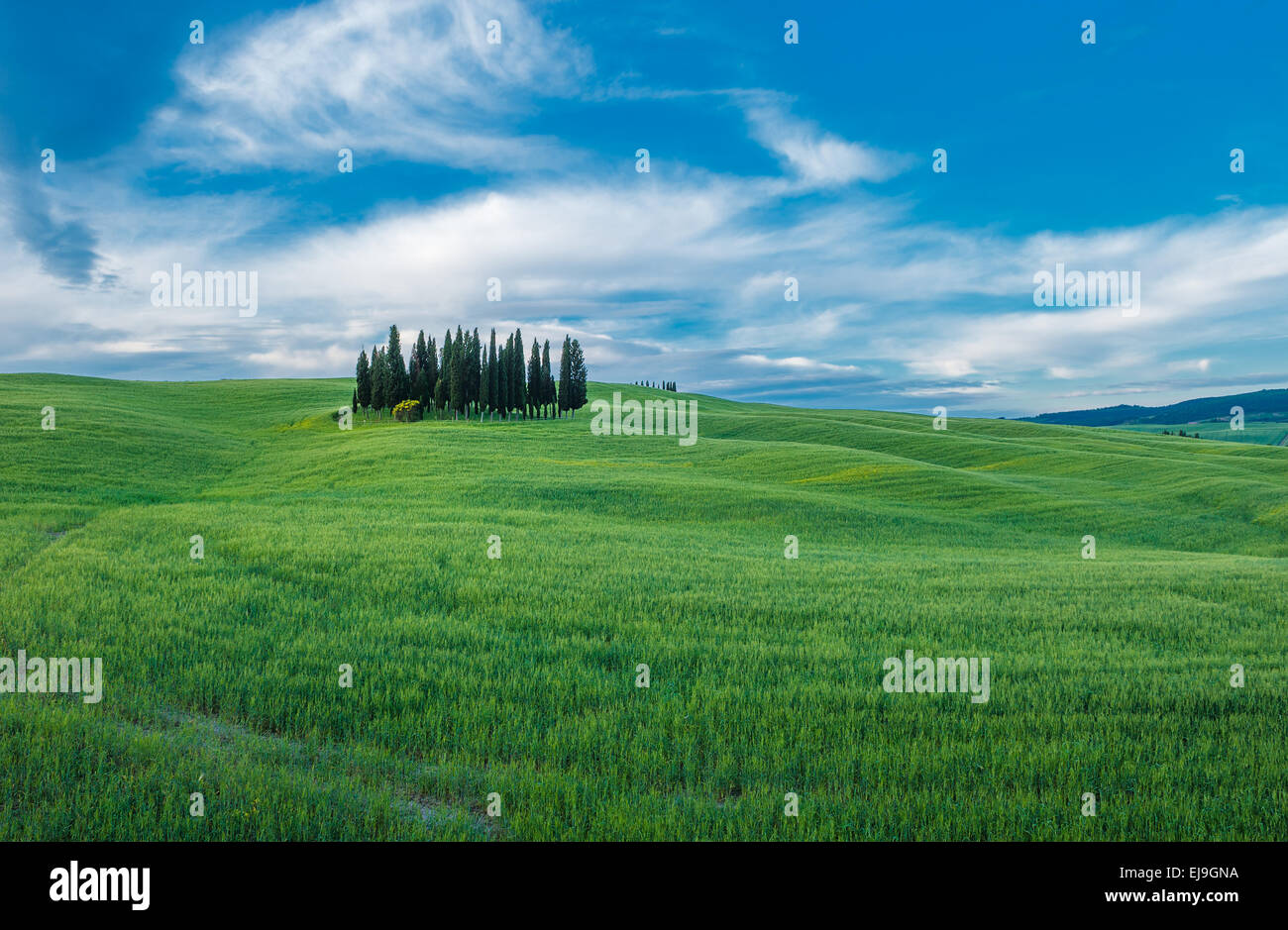 typical tuscan landscape Stock Photo - Alamy
