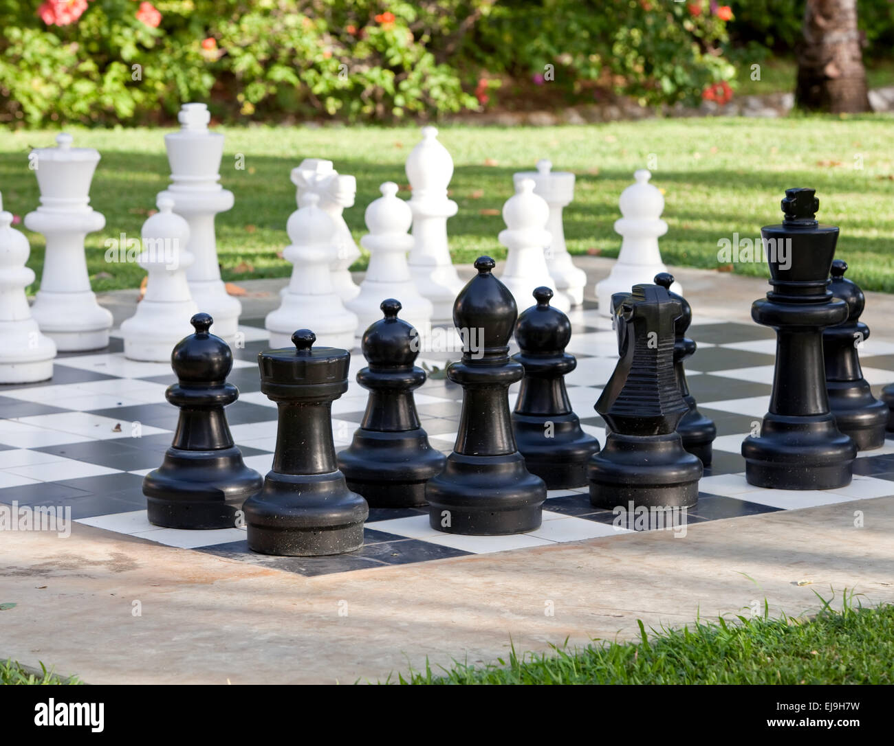 Chess figures position on hi-res stock photography and images - Alamy