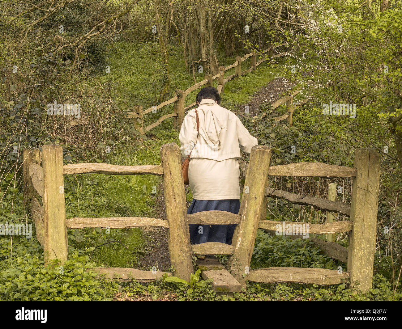 Style over fence hi-res stock photography and images - Alamy