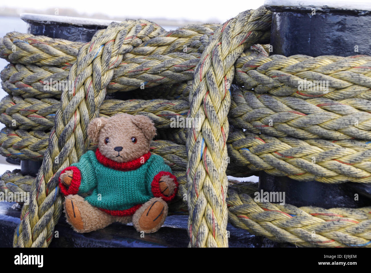 marine rope with teddy bear Stock Photo - Alamy