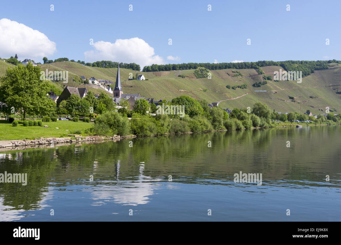 ürziger würzgarten hi-res stock photography and images - Alamy