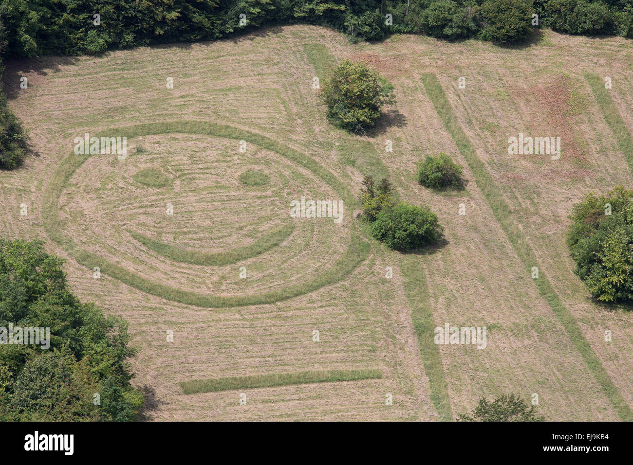 Smiley in the meadow Stock Photo - Alamy