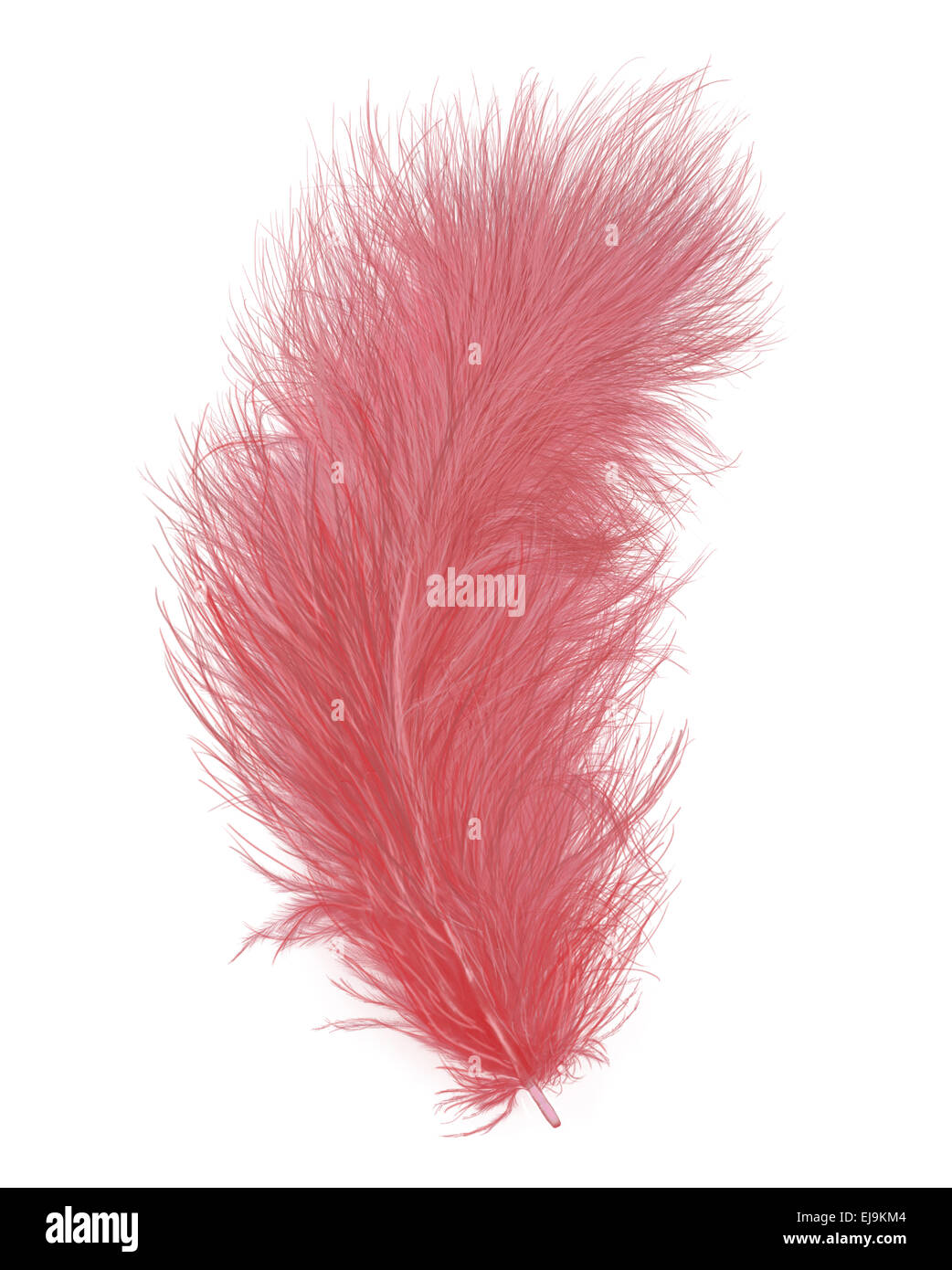 Pink feather hi-res stock photography and images - Alamy