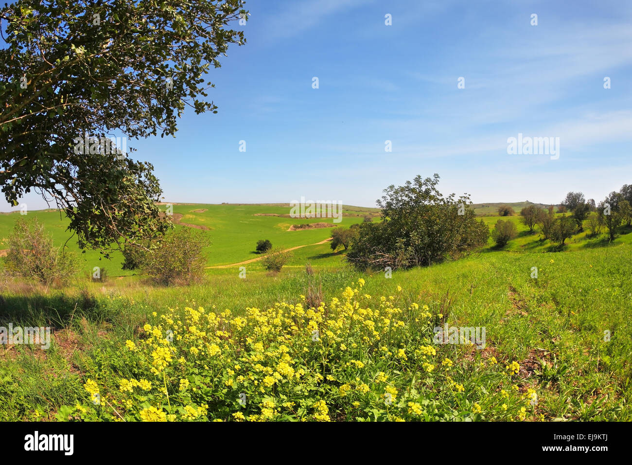 The huge field Stock Photo - Alamy