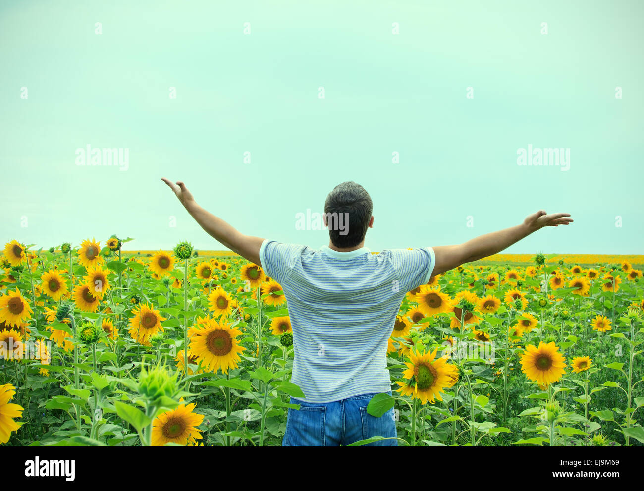 Man in flower field hi-res stock photography and images - Alamy
