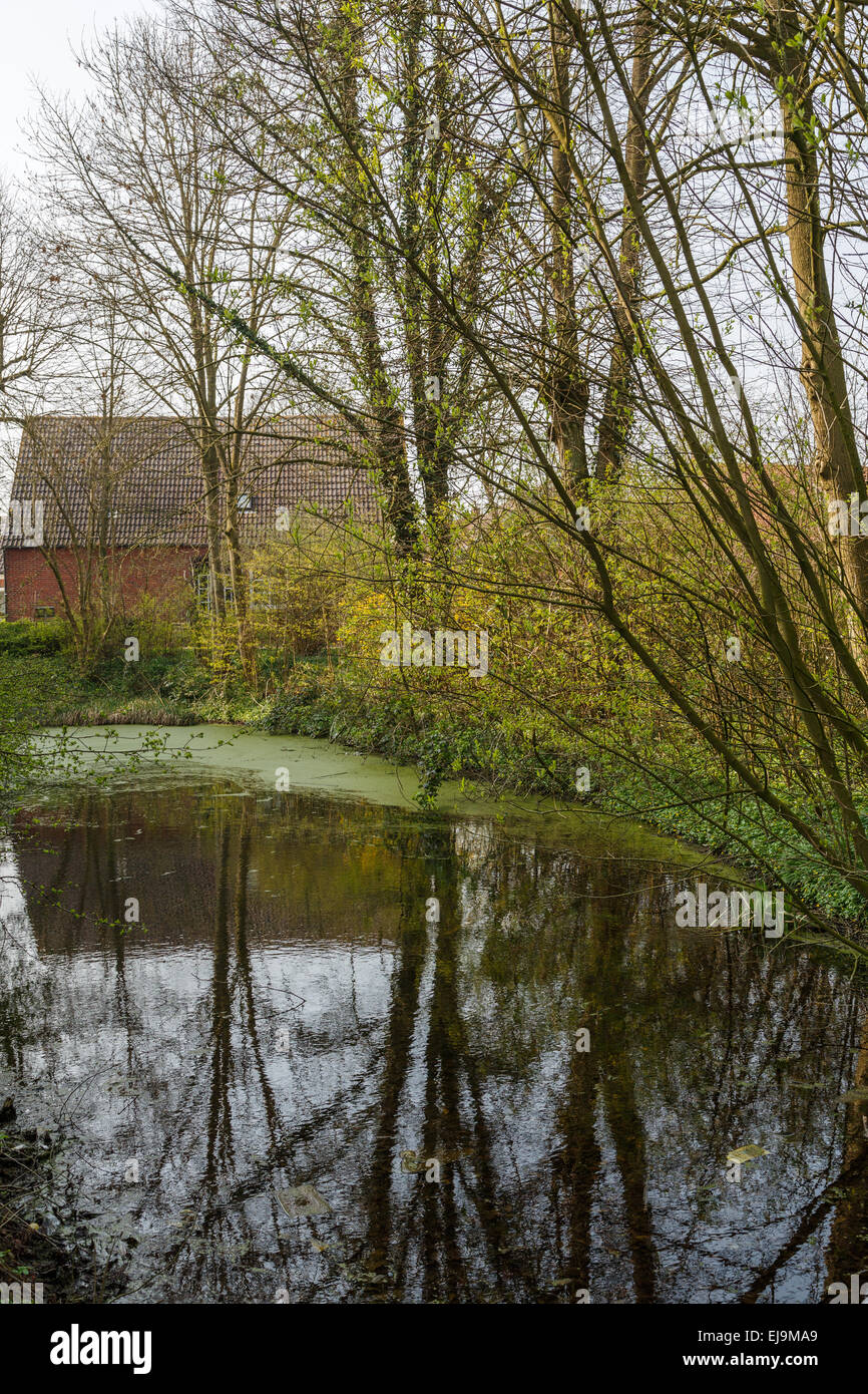 Fire ponds hi-res stock photography and images - Alamy