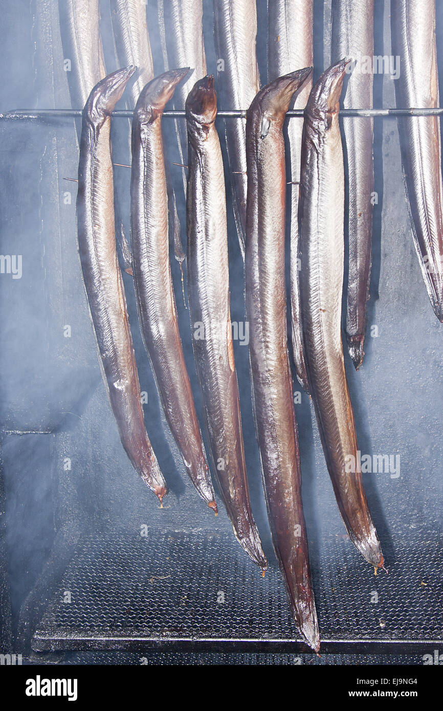 Fat eel hi-res stock photography and images - Alamy
