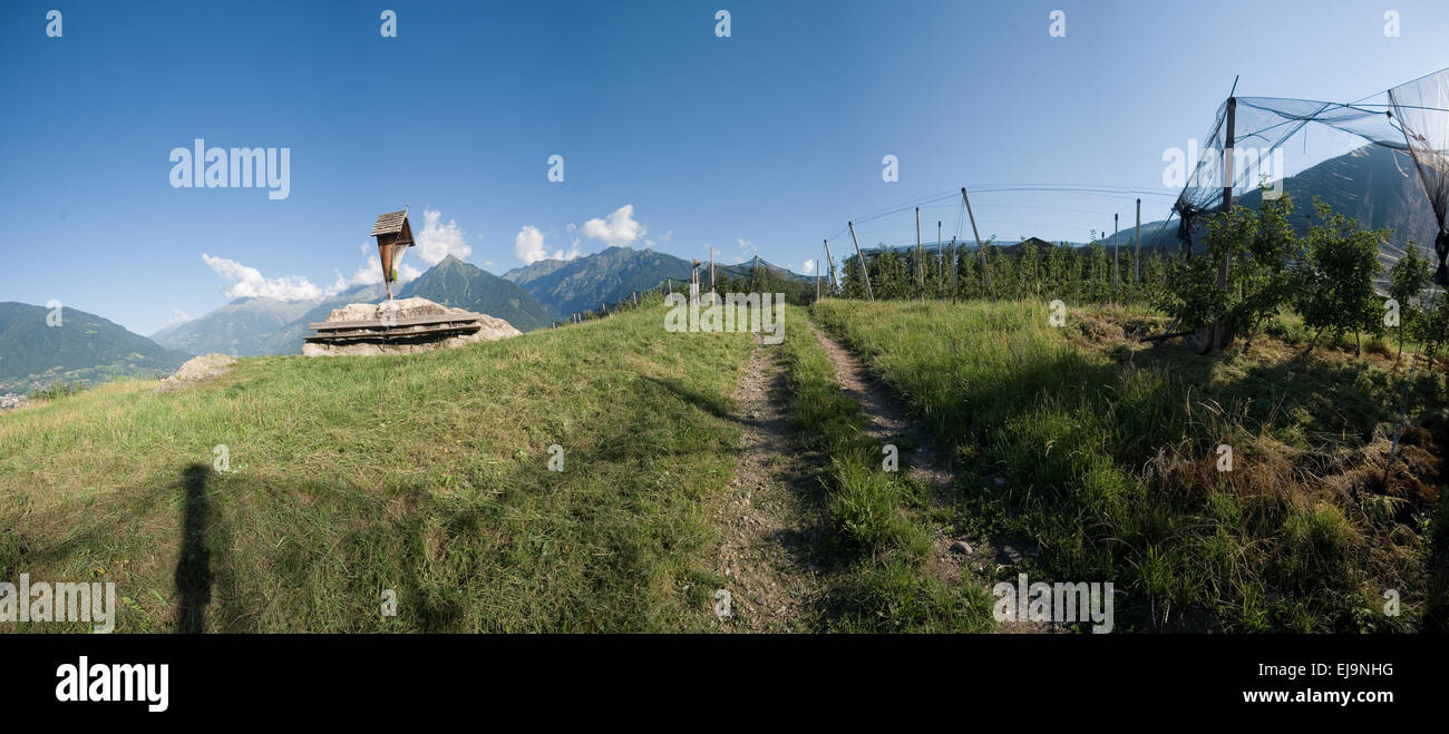 cross with bench in the alps pano Stock Photo - Alamy