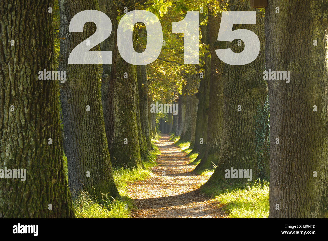 Alley way scene hi-res stock photography and images - Alamy