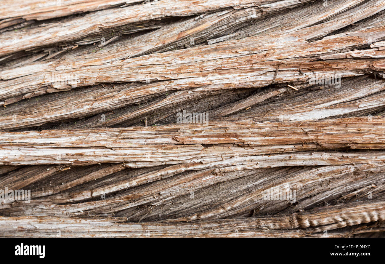 Background close up of cedar trunk bark Stock Photo - Alamy