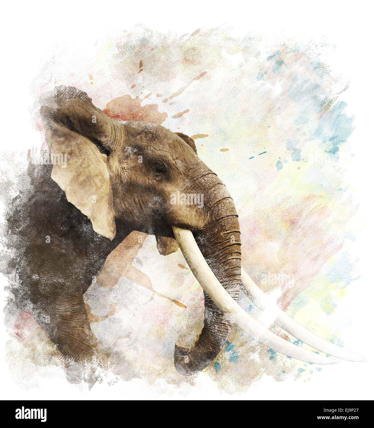 Watercolor Image Of Elephant Stock Photo - Alamy