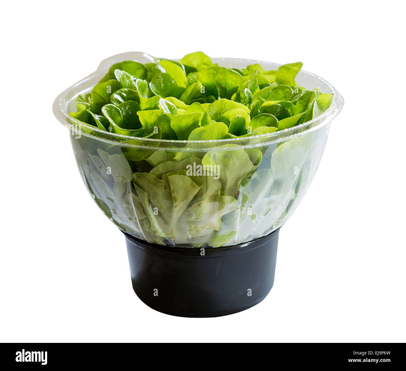 Plastic in water container Cut Out Stock Images & Pictures - Alamy