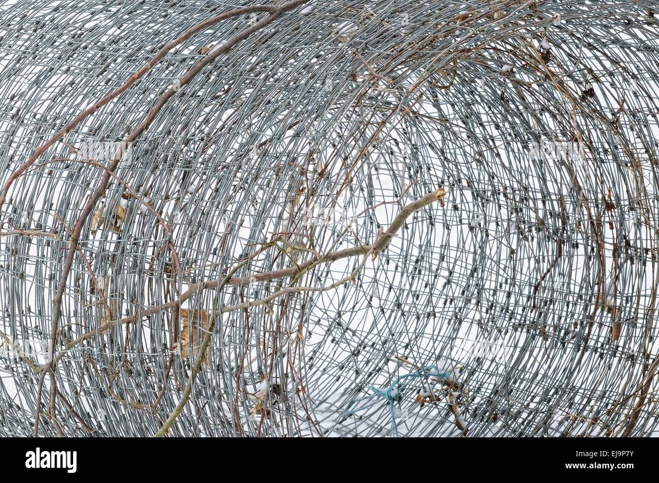 Rolle security hi-res stock photography and images - Alamy