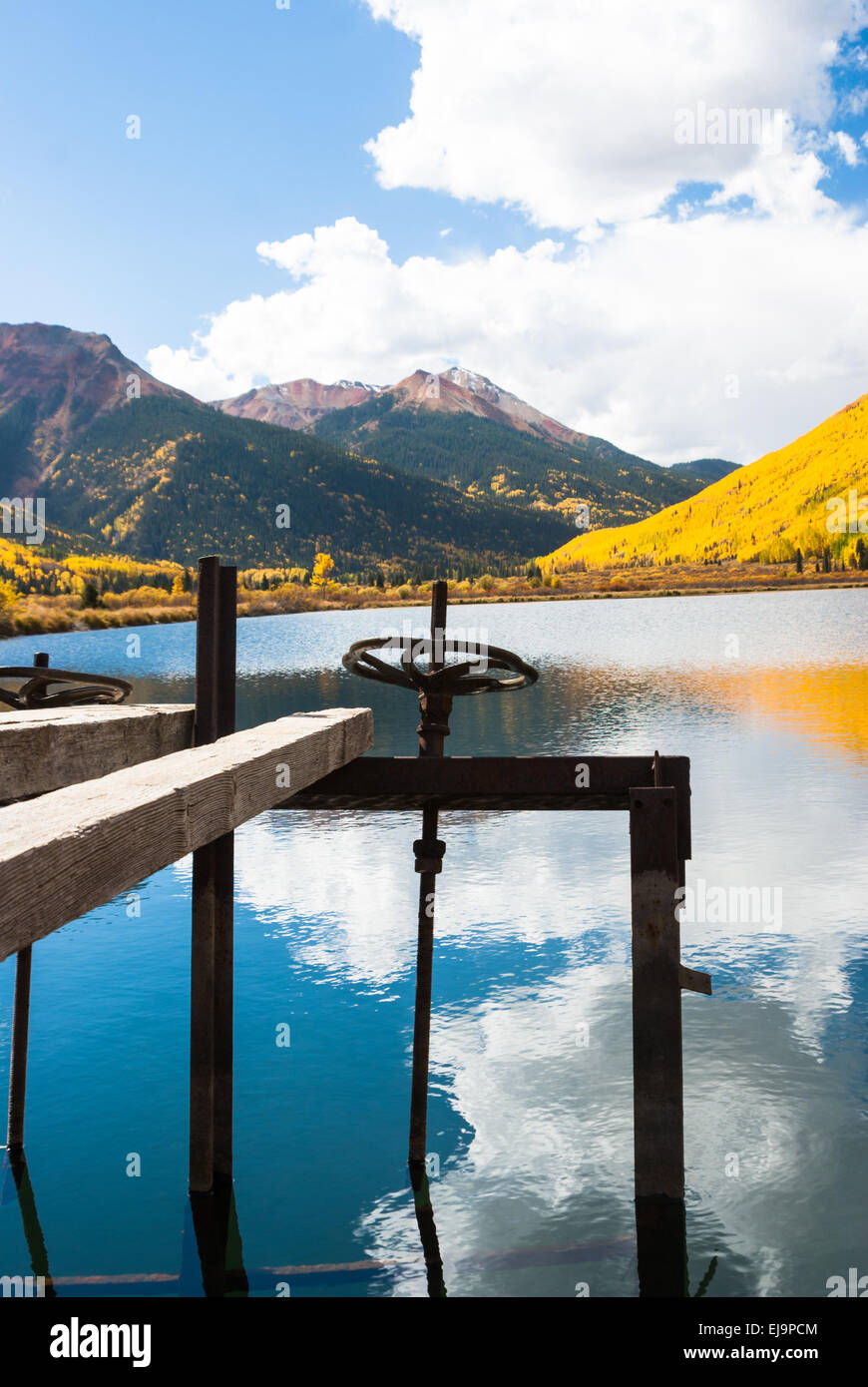 Colorado flora hi-res stock photography and images - Alamy