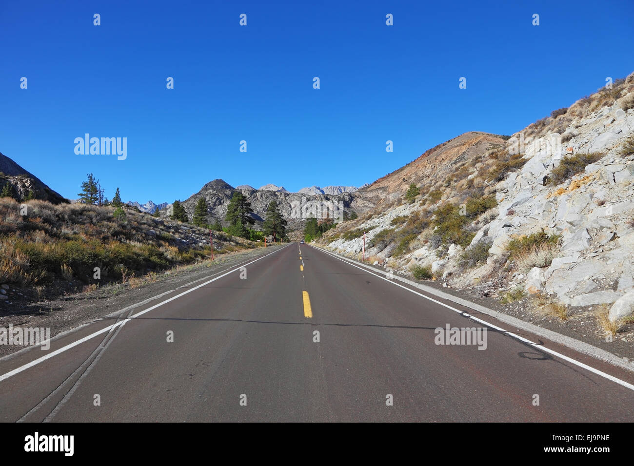 The American road Stock Photo - Alamy