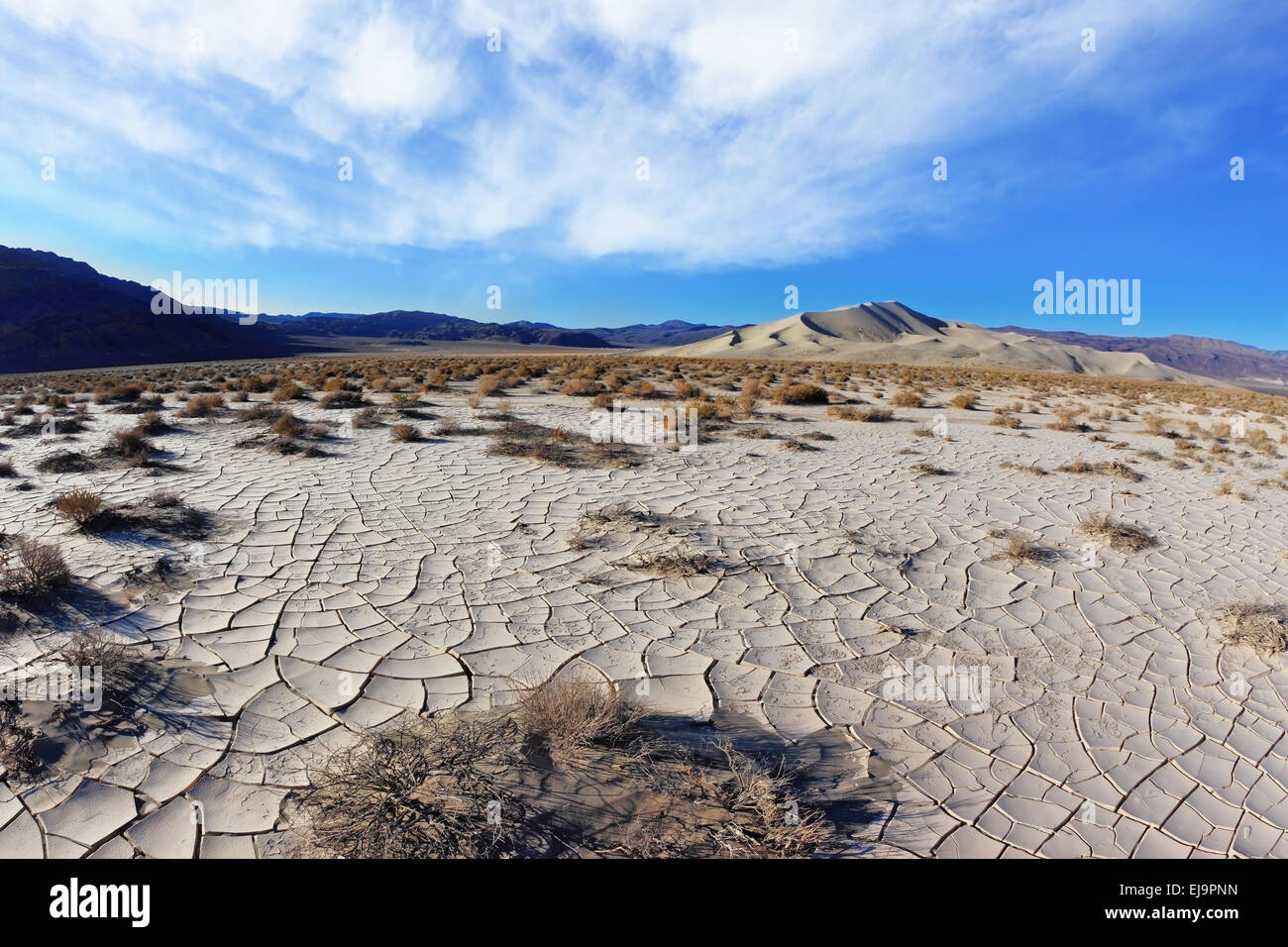 Fissured hi-res stock photography and images - Alamy