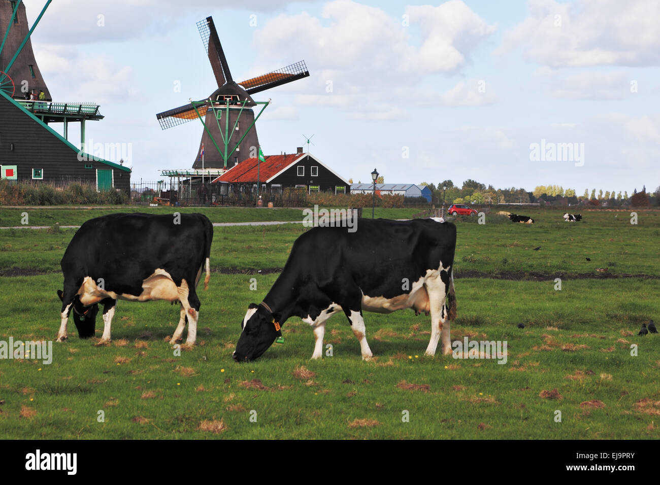 Pastoral ranch hi-res stock photography and images - Alamy