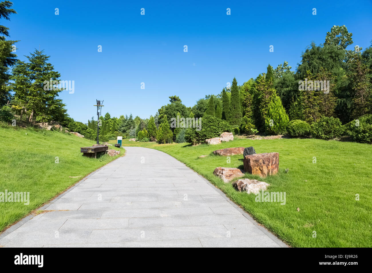 Summer park in bright sunny hi-res stock photography and images - Alamy