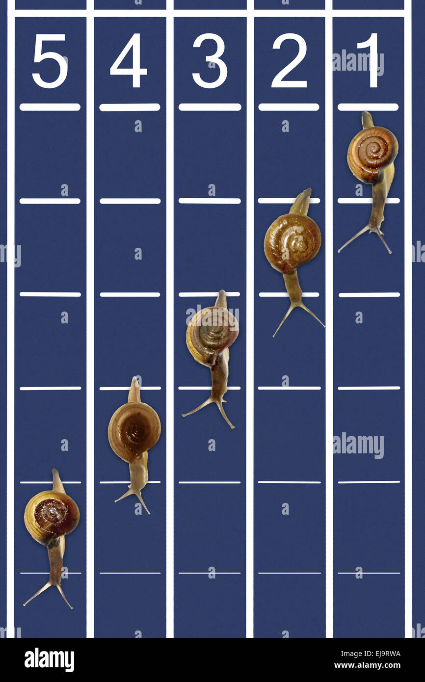 Snails running on track Stock Photo - Alamy