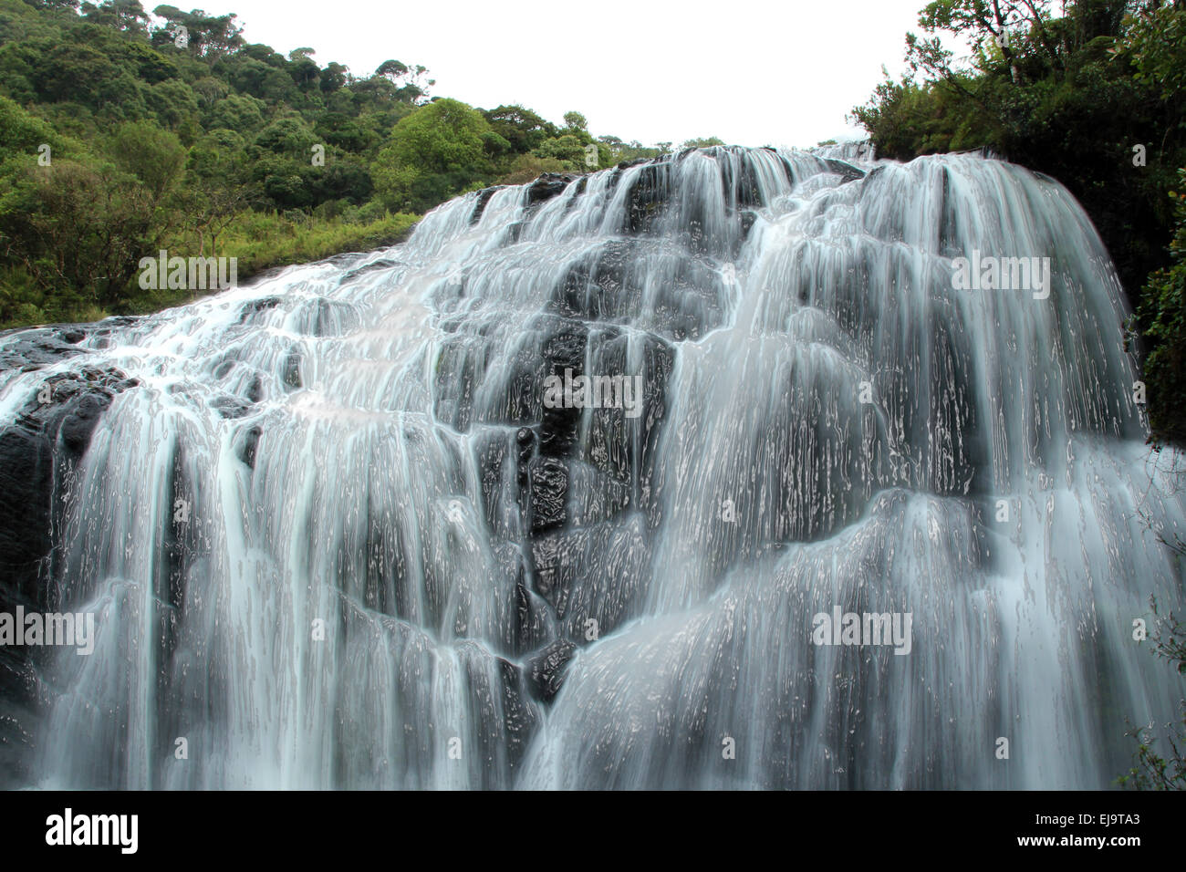 Baker's fall horton plains hi-res stock photography and images - Alamy