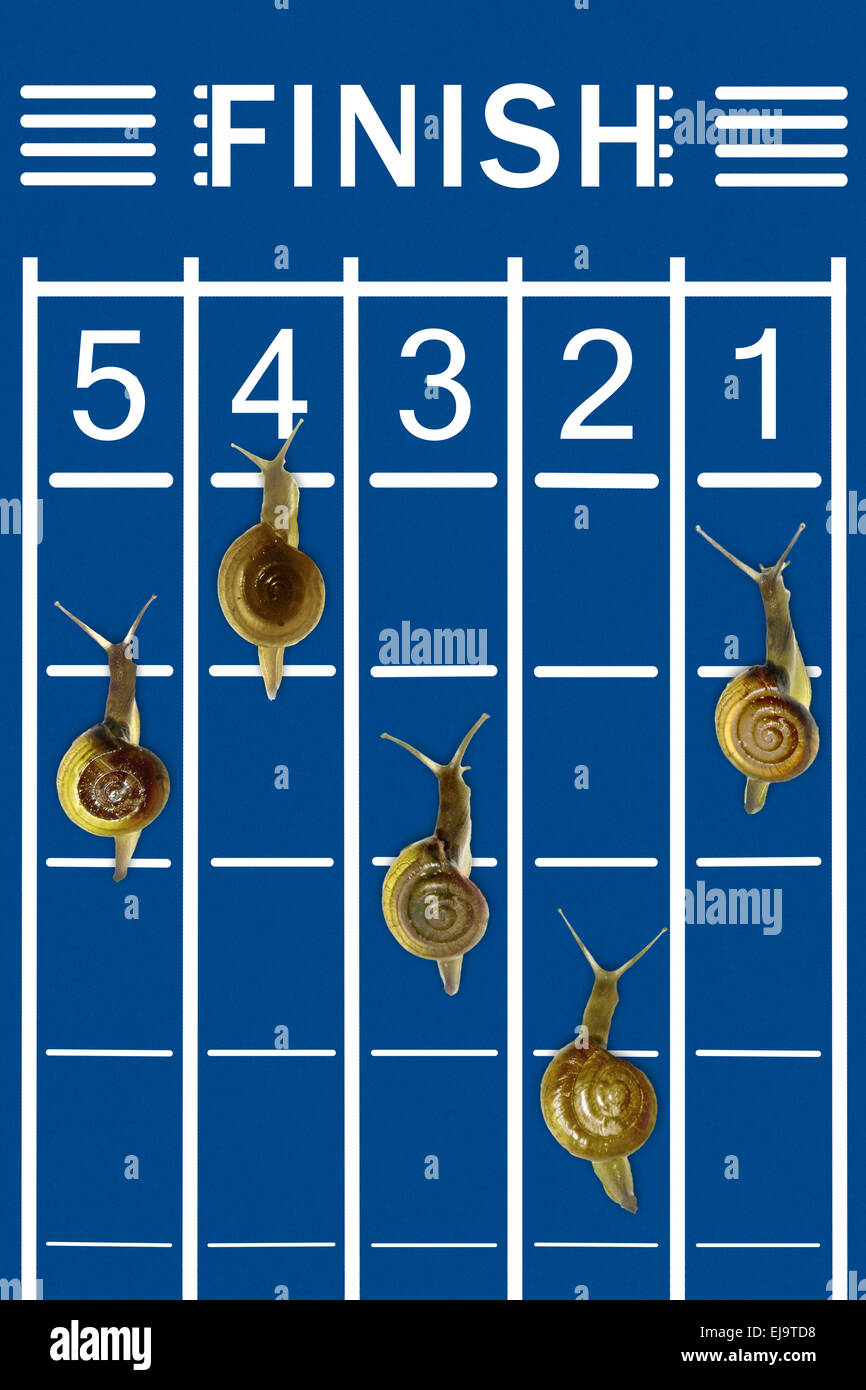 Snails running on track Stock Photo - Alamy