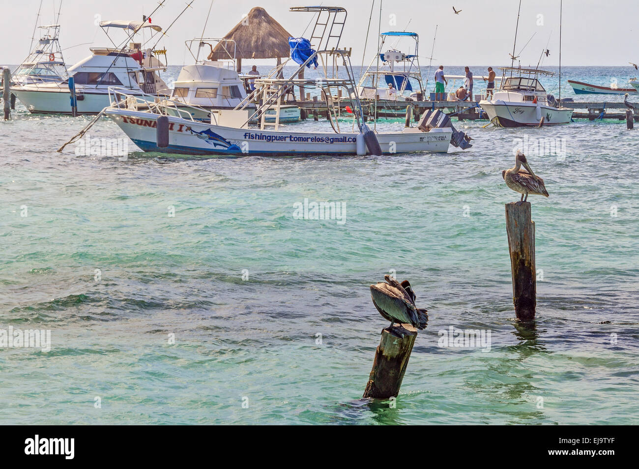Fishing Boats and Birds Yucatan Mexico Stock Photo - Alamy