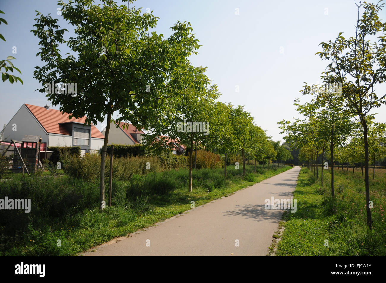 Walnut avenue hi-res stock photography and images - Alamy