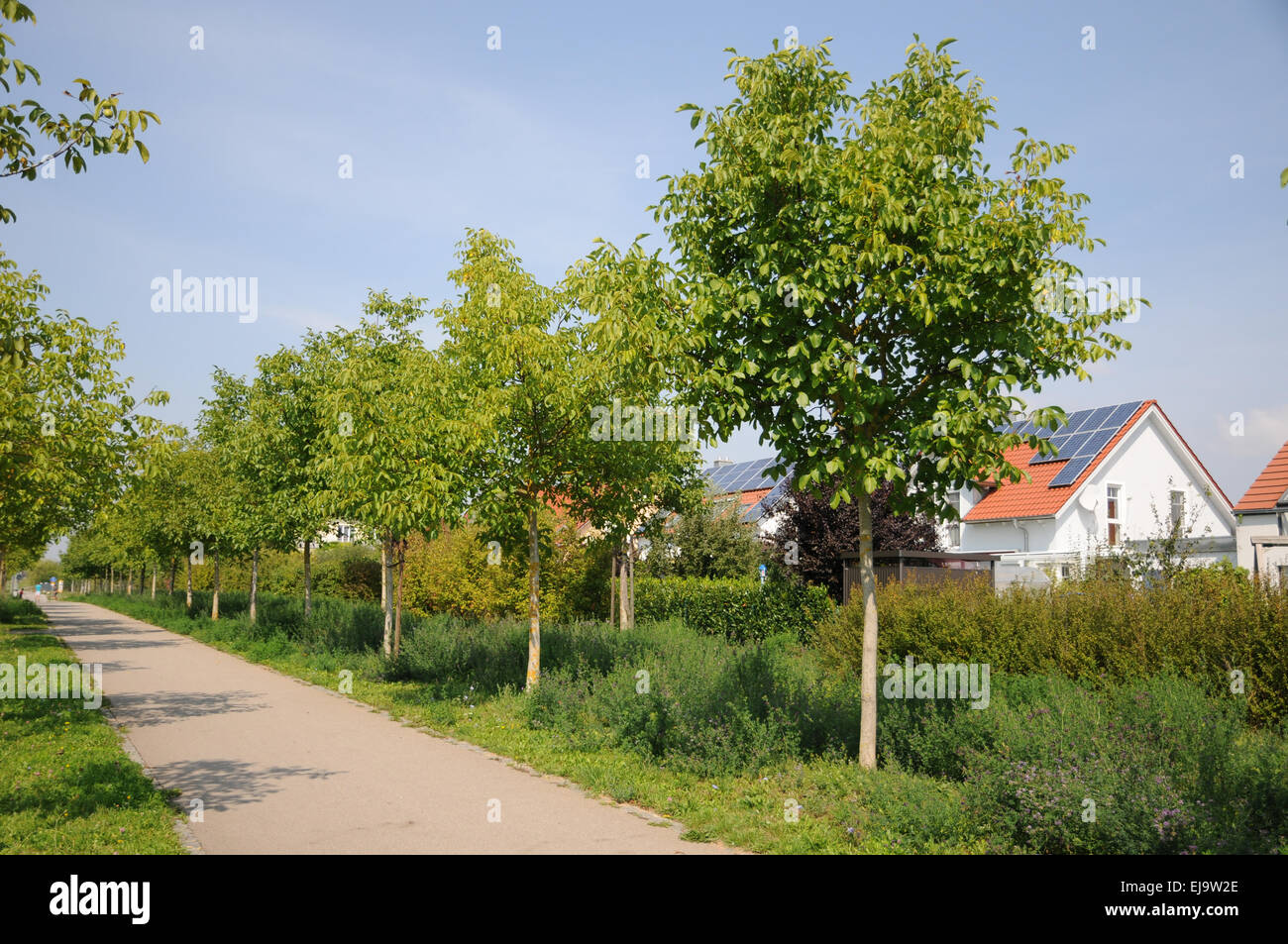 Walnut avenue hi-res stock photography and images - Alamy