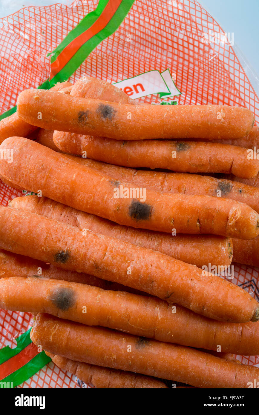 Rotten carrots hi-res stock photography and images - Alamy