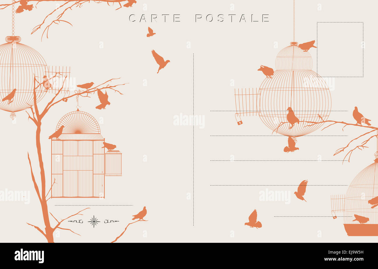 Vintage birds postcard Stock Photo - Alamy