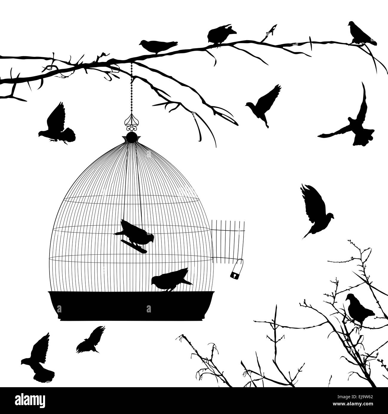 Antique bird cage white Cut Out Stock Images & Pictures - Alamy