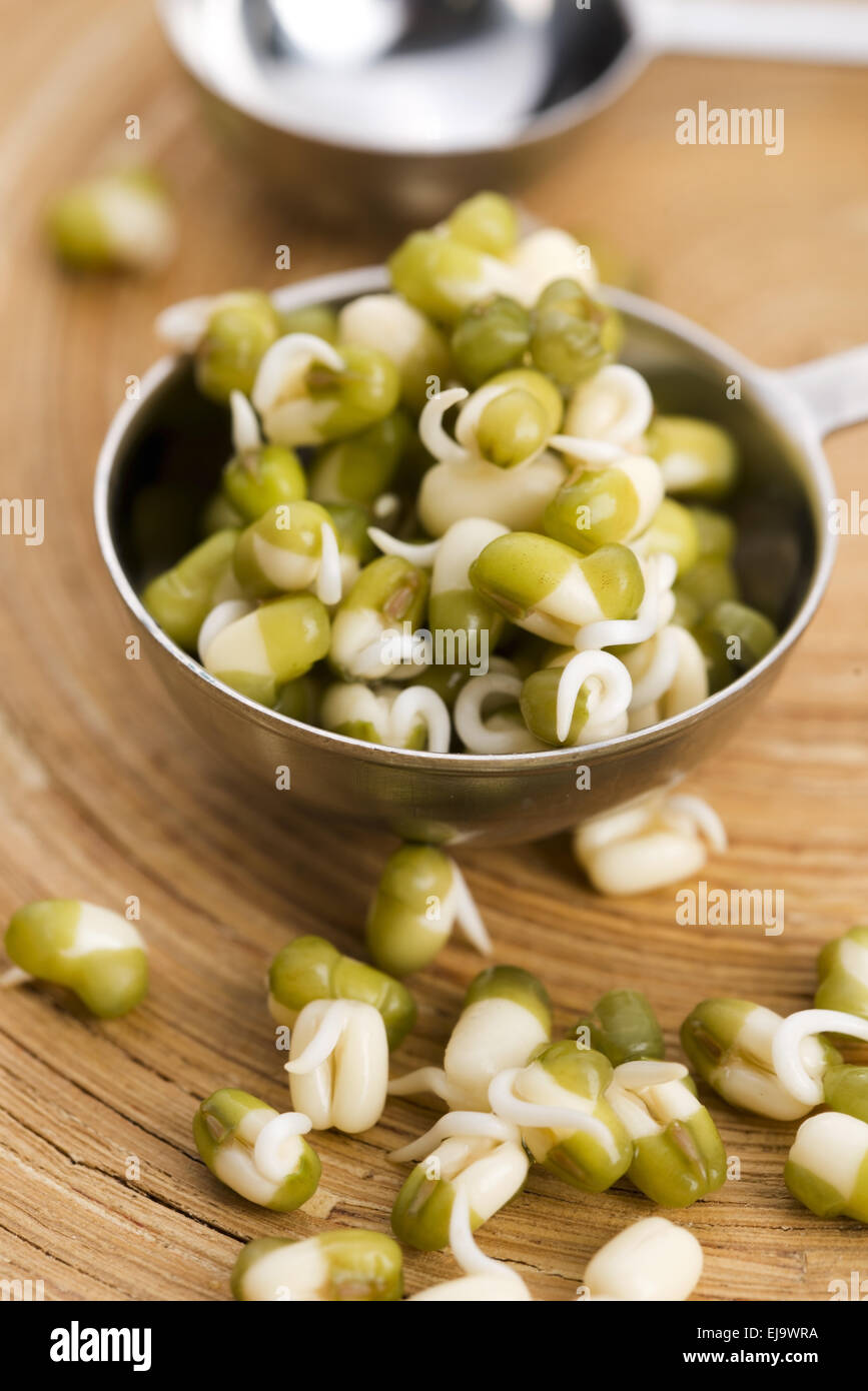 Sprouted mung beans Stock Photo - Alamy