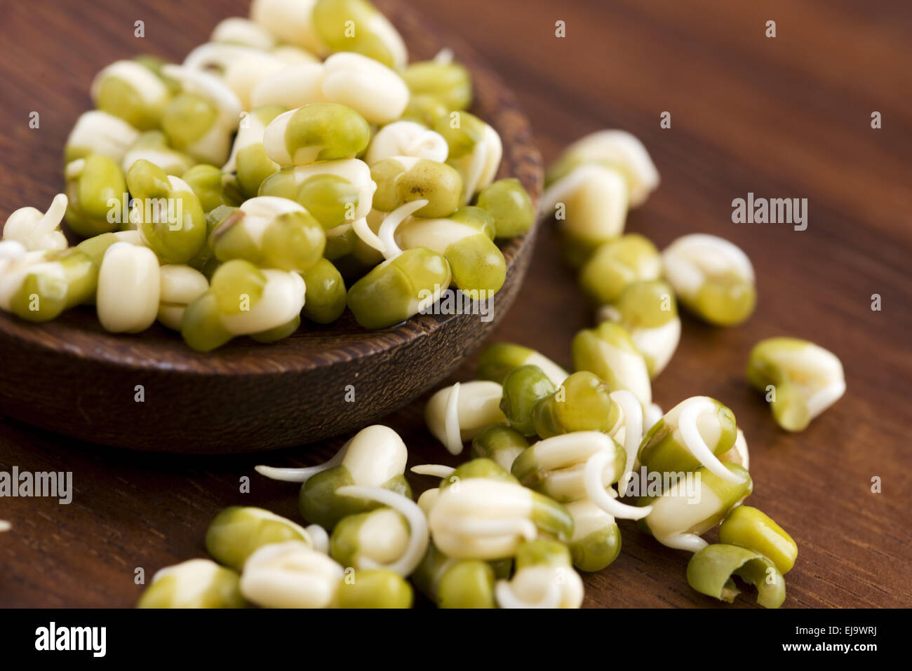 Sprouted mung beans Stock Photo - Alamy