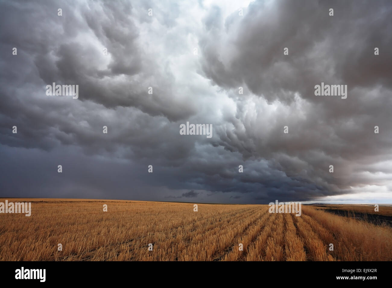 Massive storm cloud hi-res stock photography and images - Alamy