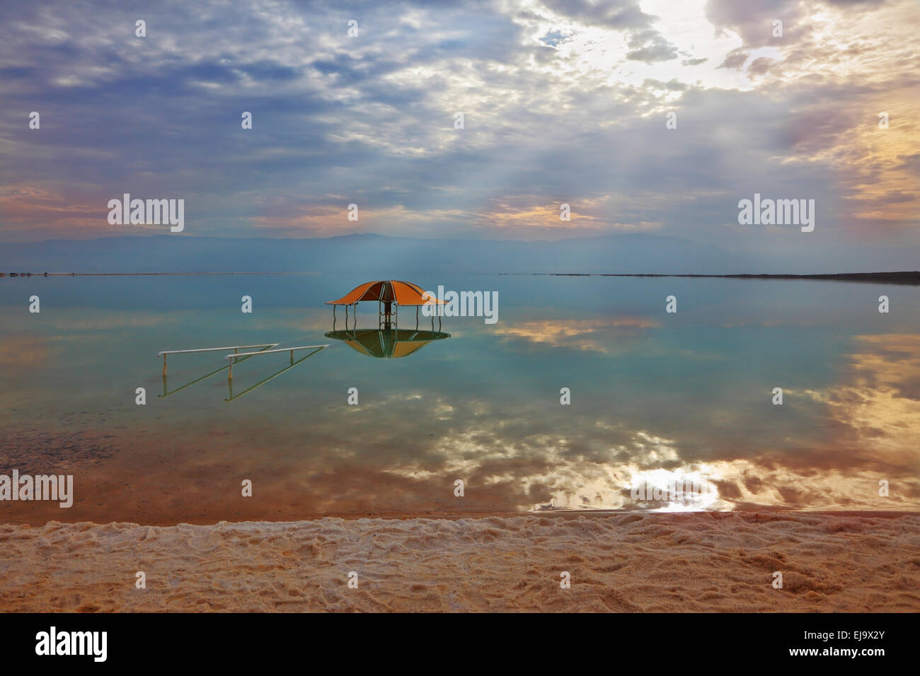 Reflections dead tree in hi-res stock photography and images - Alamy