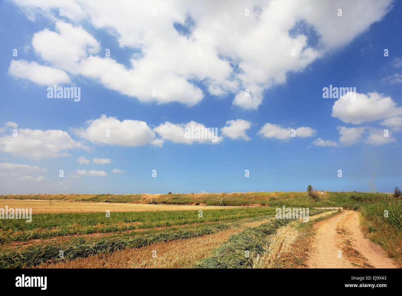Well-trodden dirt road to the fields Stock Photo - Alamy
