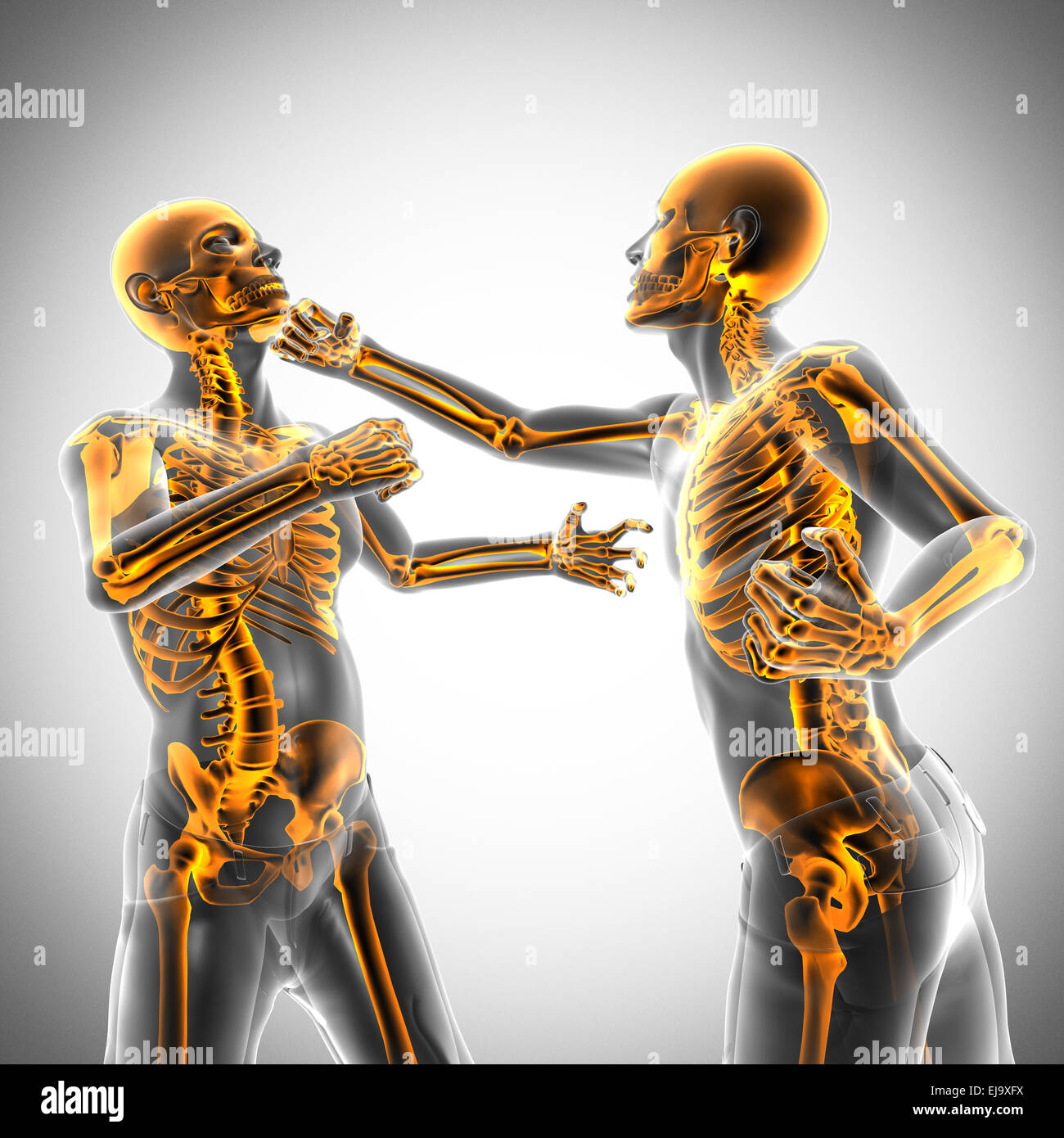 Radiography training hi-res stock photography and images - Alamy