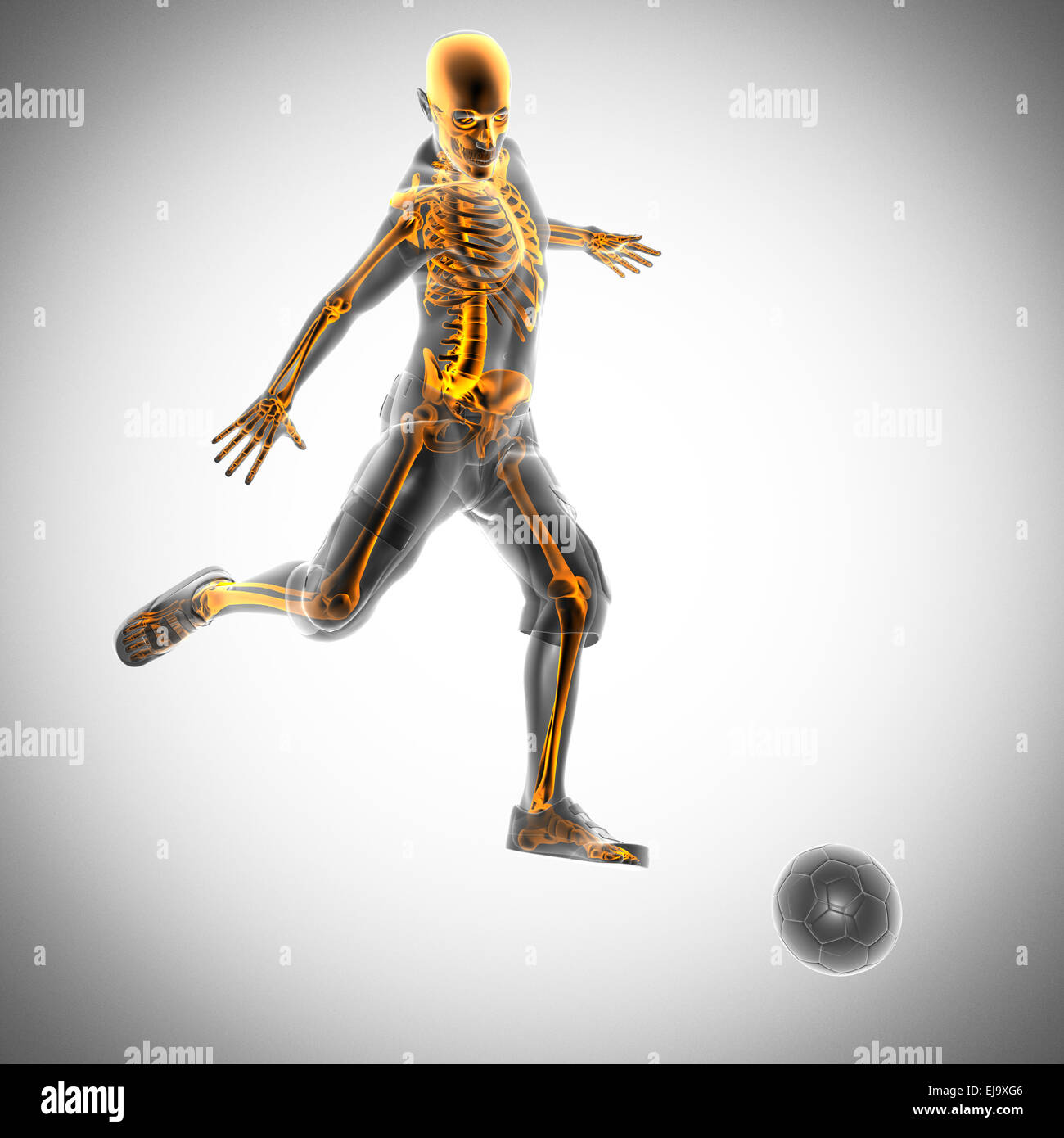 Radiography training hi-res stock photography and images - Alamy