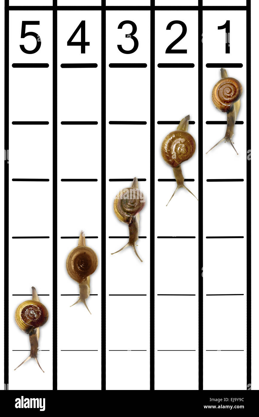Snails running on track Stock Photo - Alamy