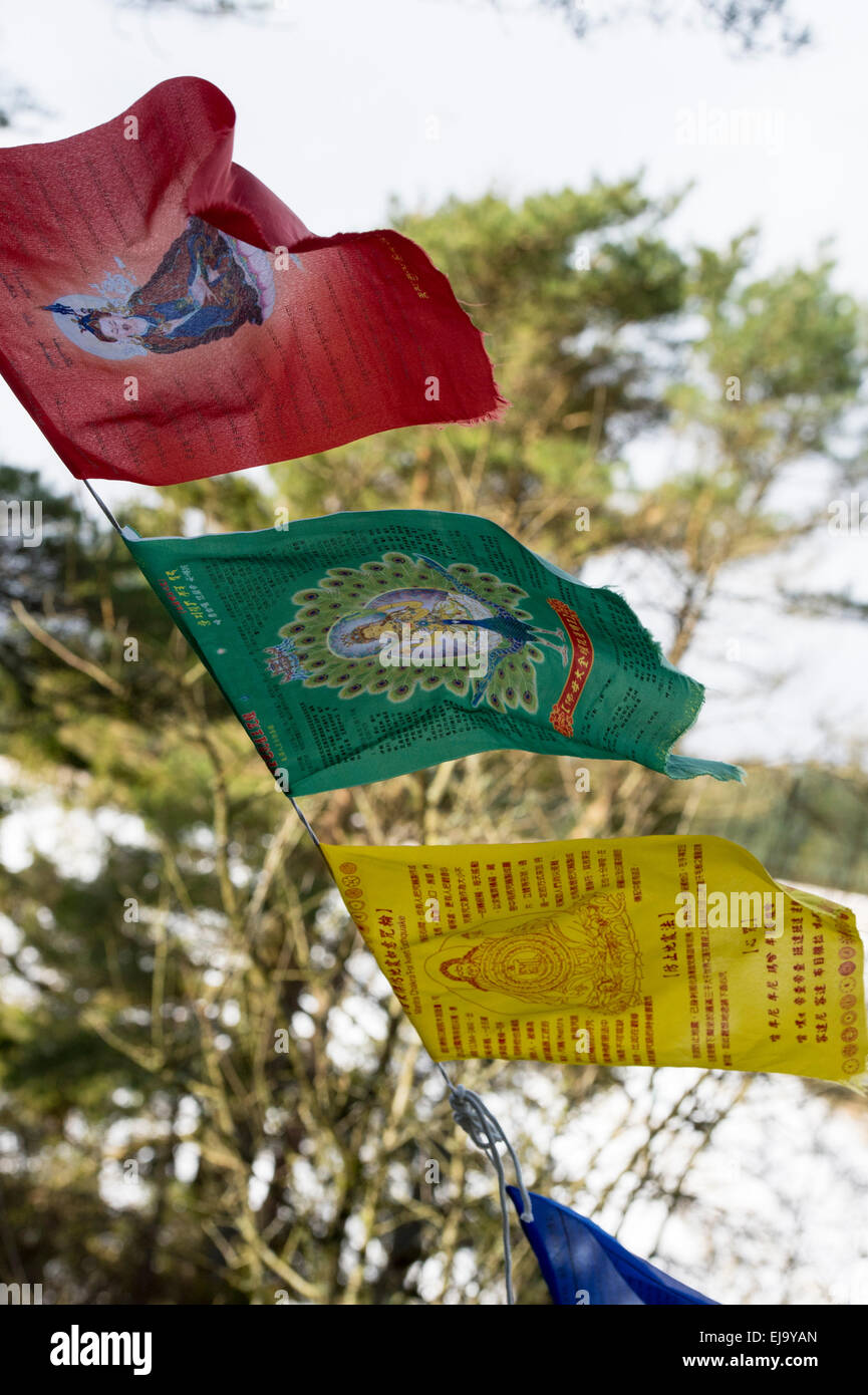 A line of Tibetan prayer flags at Kagyu Samye Ling Monastery ...