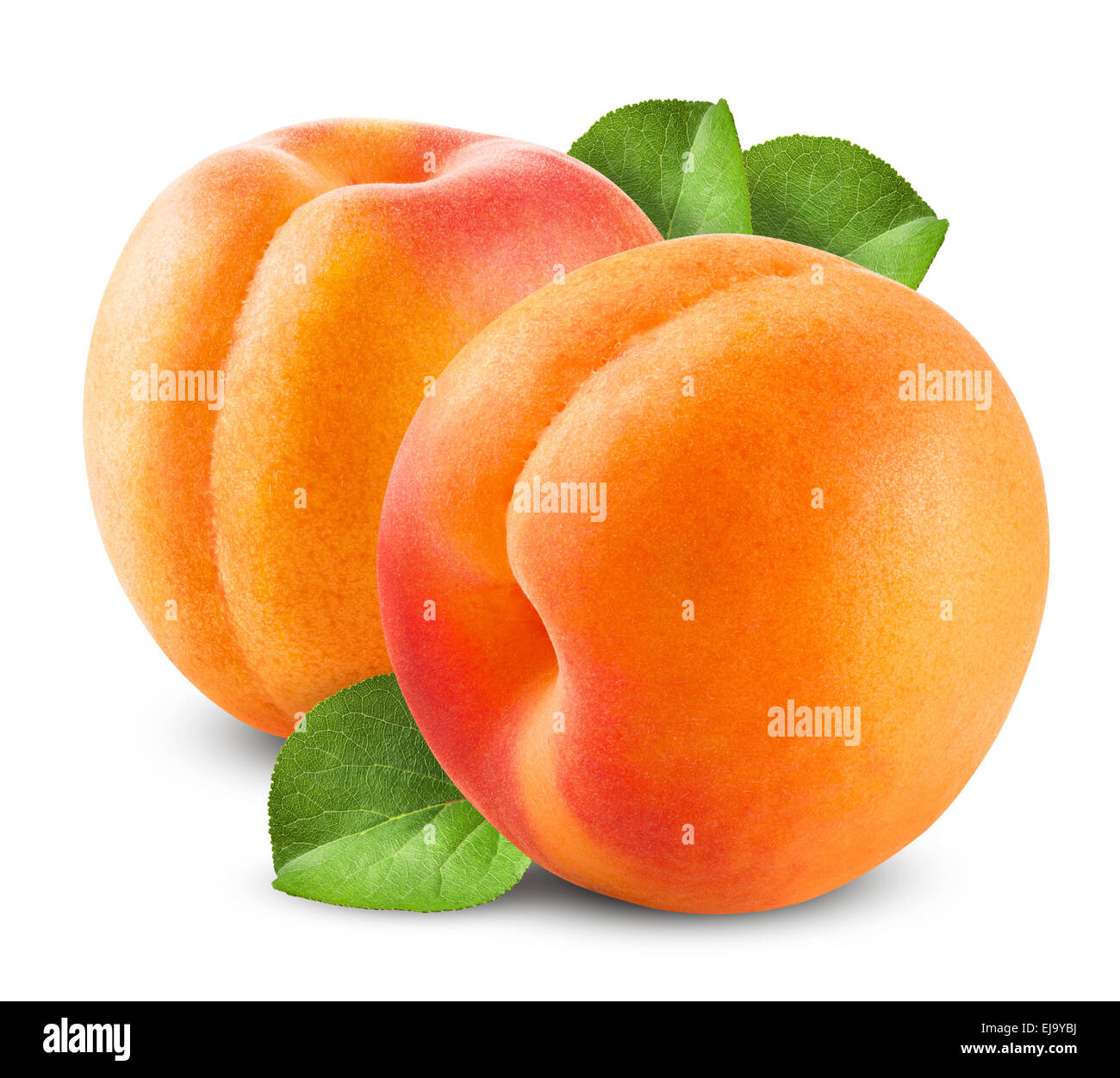 Apricot fresh hi-res stock photography and images - Alamy