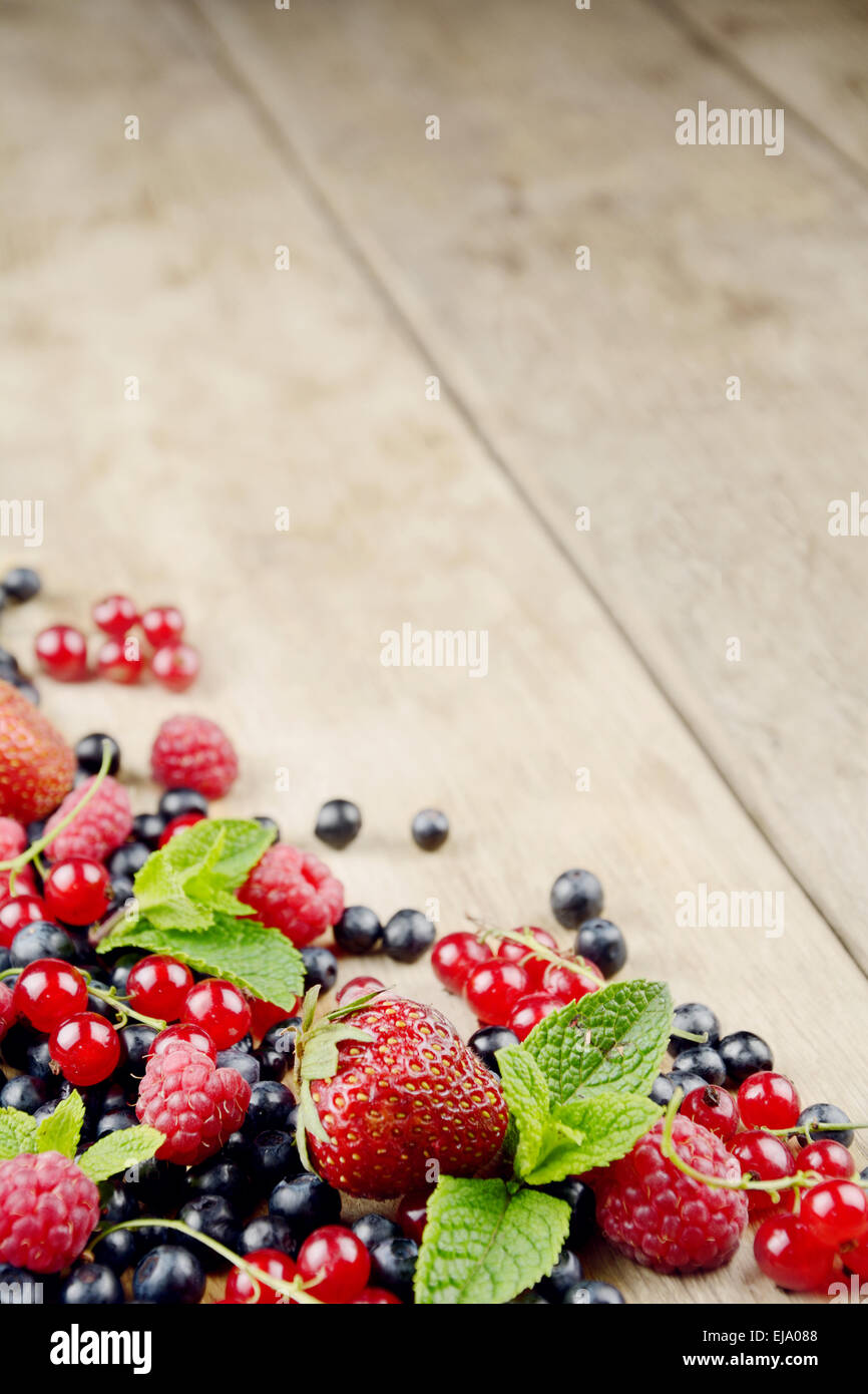 Frame summer hi-res stock photography and images - Alamy