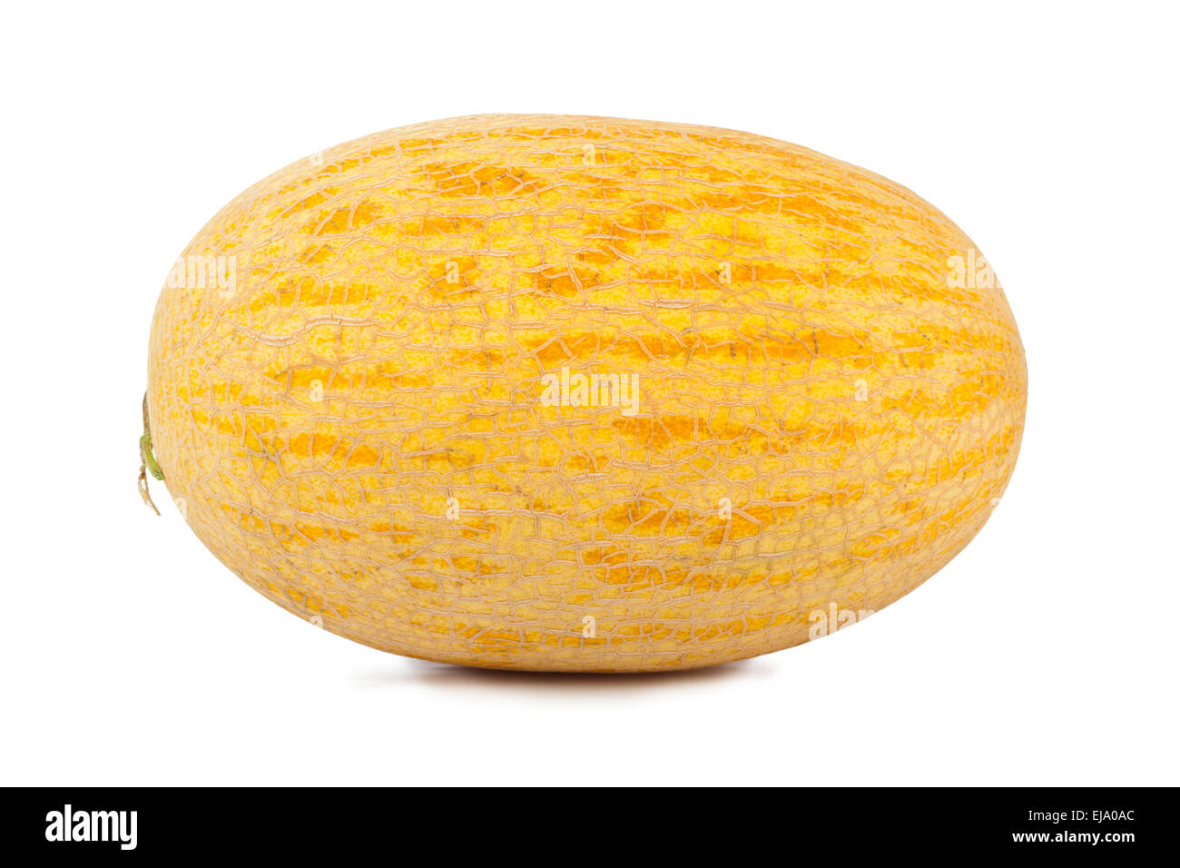 Melon bio Cut Out Stock Images & Pictures - Alamy