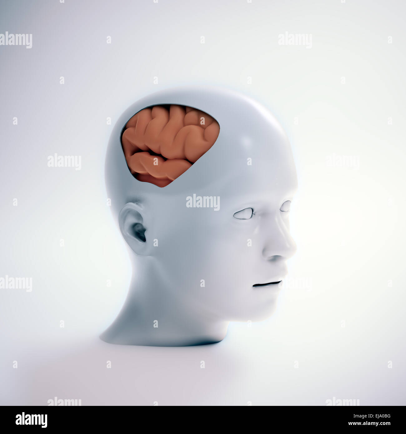 Human intelligence hi-res stock photography and images - Alamy