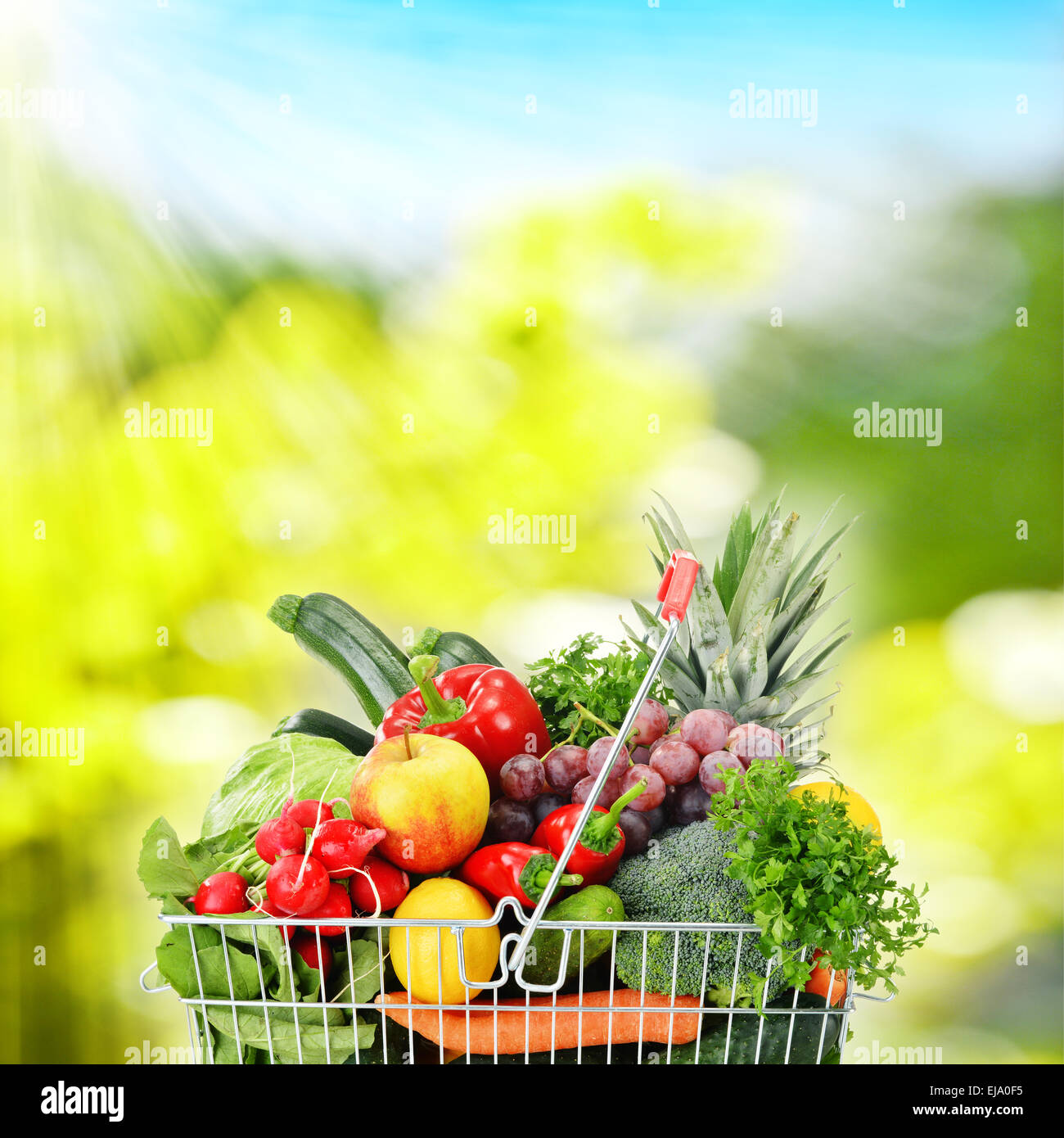 Wire shopping basket with groceries Stock Photo - Alamy