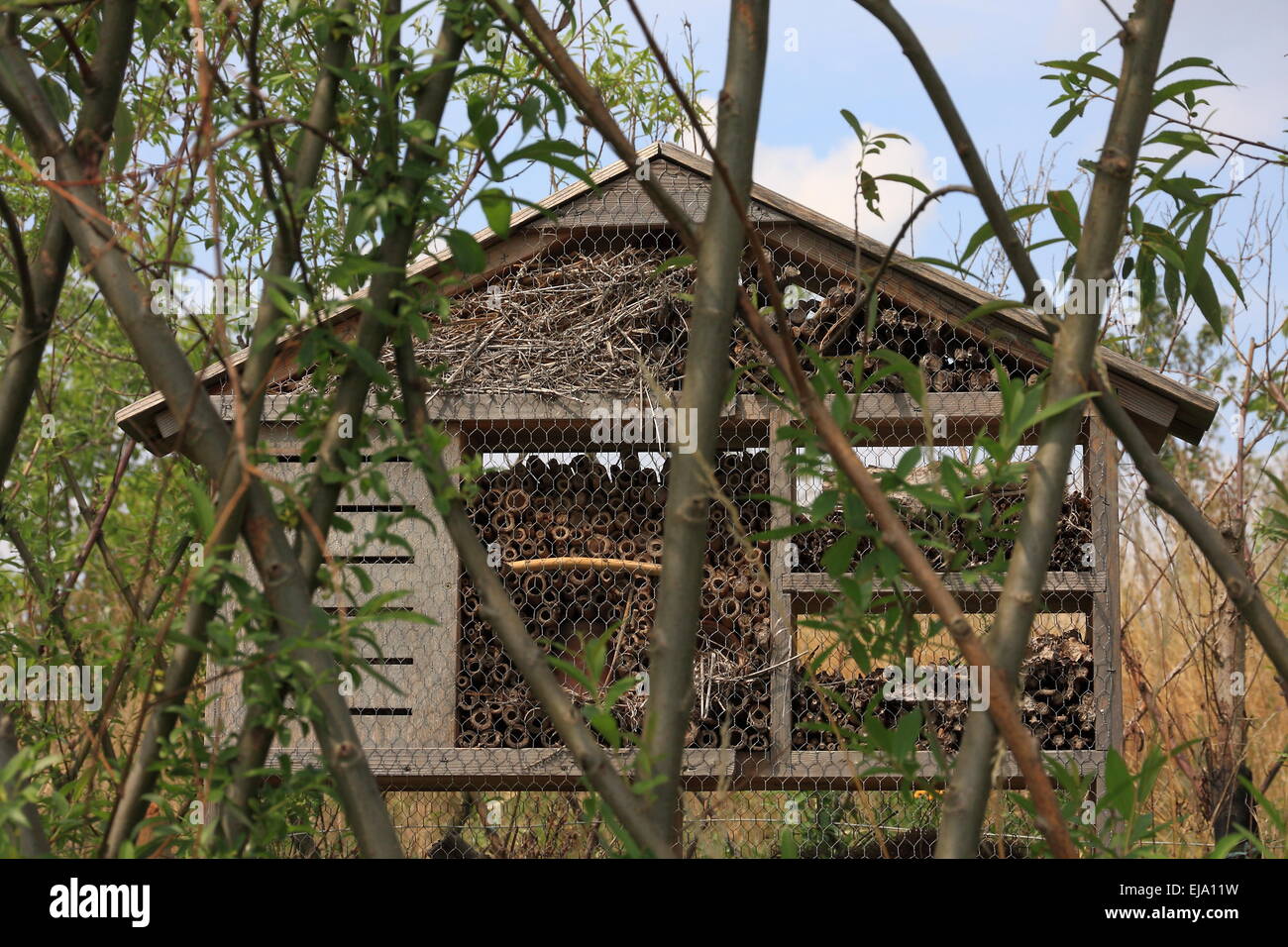 Commodious insect hotel Stock Photo - Alamy