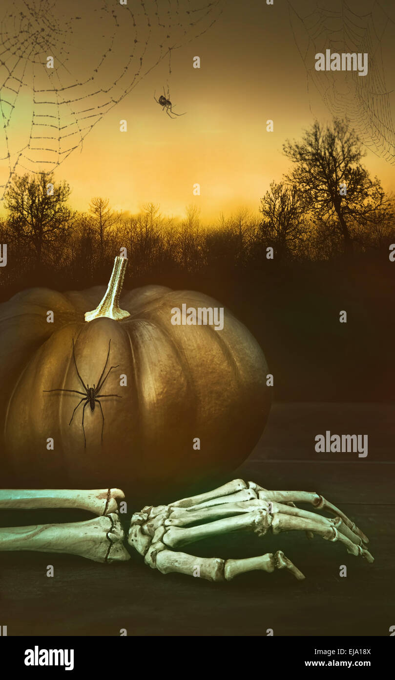 Pumpkin with skeleton hand and spider webs Stock Photo - Alamy