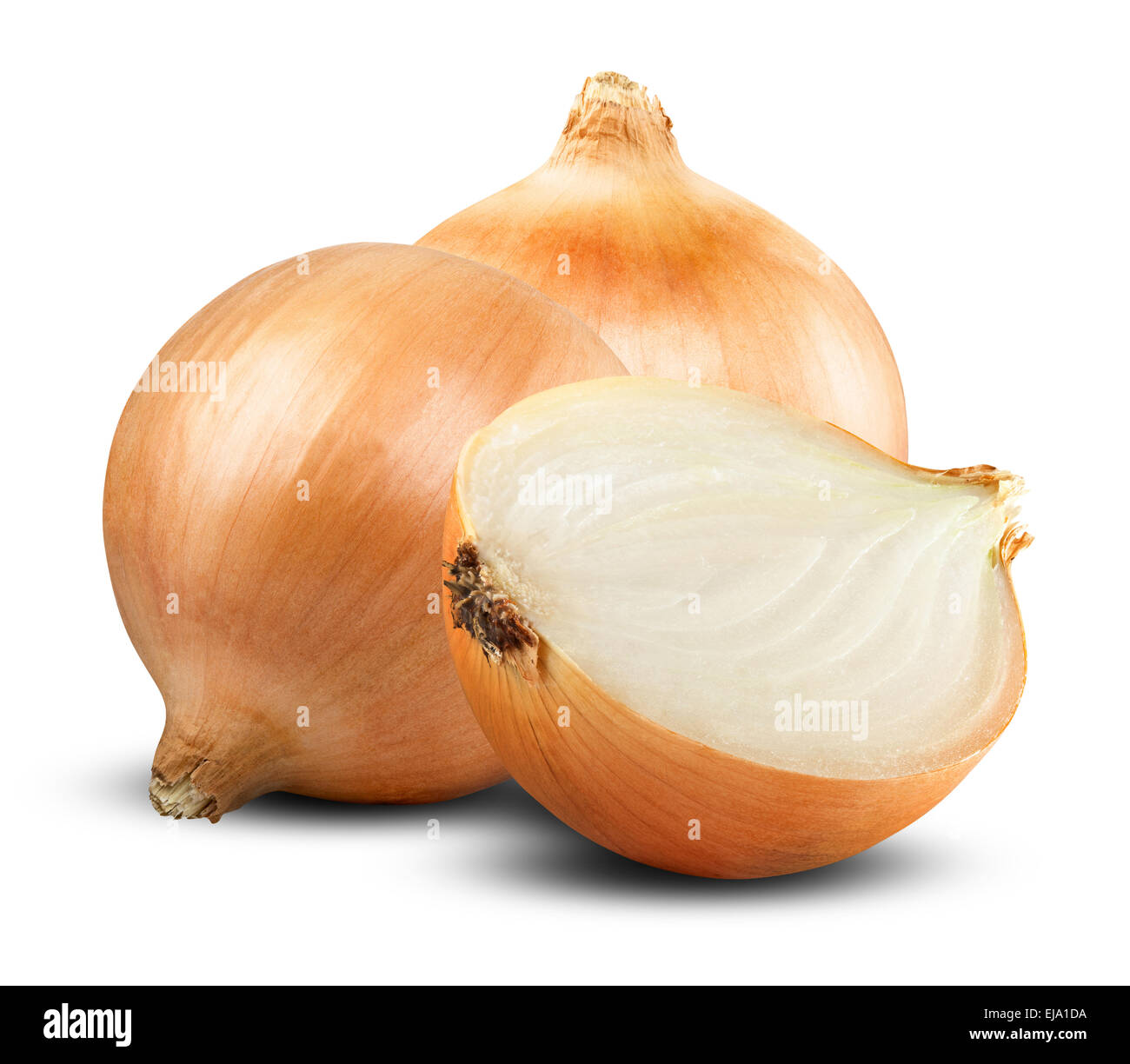Bulbs sliced hi-res stock photography and images - Alamy