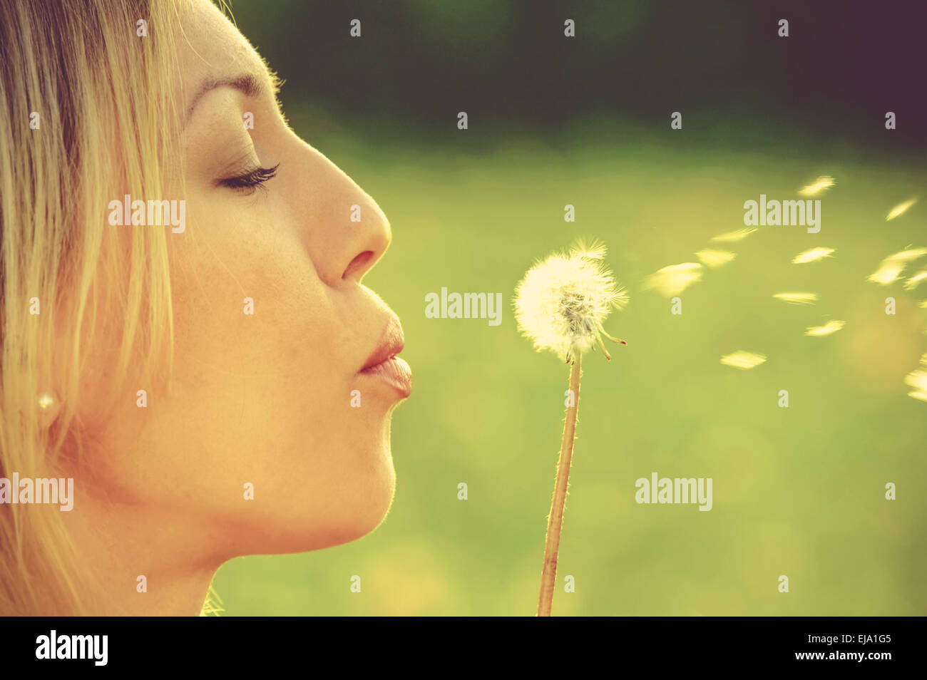 Entertainments hi-res stock photography and images - Alamy